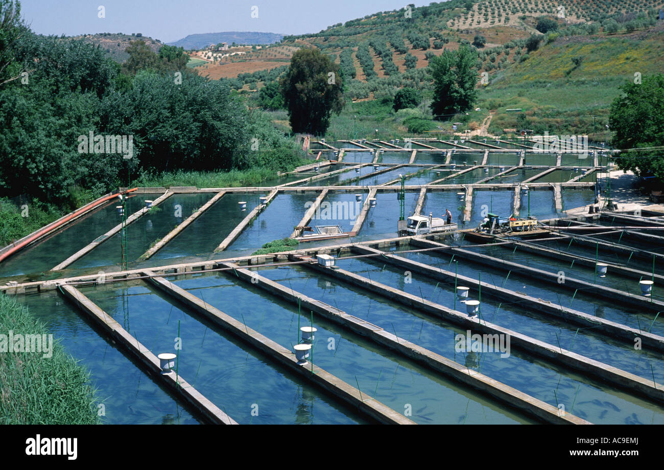 Freshwater fish farm Granada Spain Stock Photo - Alamy