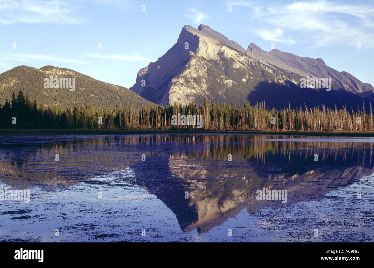 Mount Rundle in Banff National park in Canada Stock Photo - Alamy