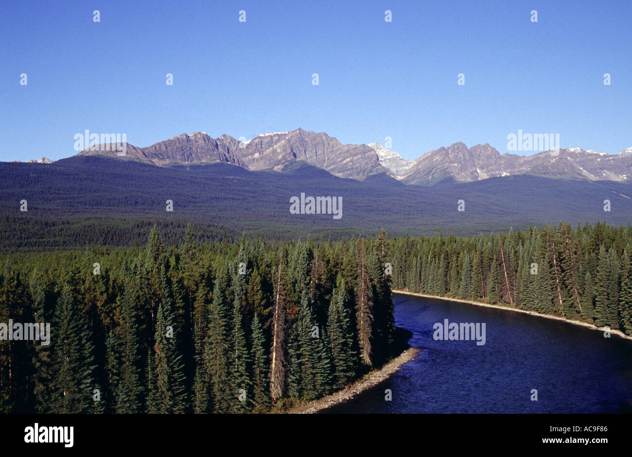 Forest River in Banff national park in Canada Stock Photo - Alamy