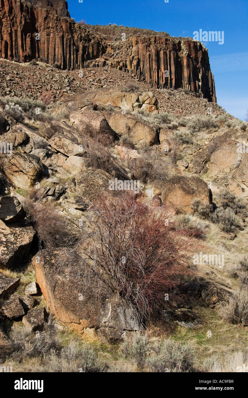 Steamboat Rock Steamboat Rock State Park Washington Stock Photo - Alamy