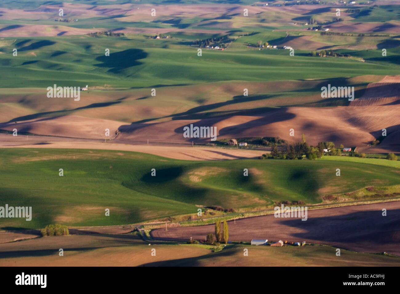 Evening light over the Palouse from the summit of Kamiak Butte ...