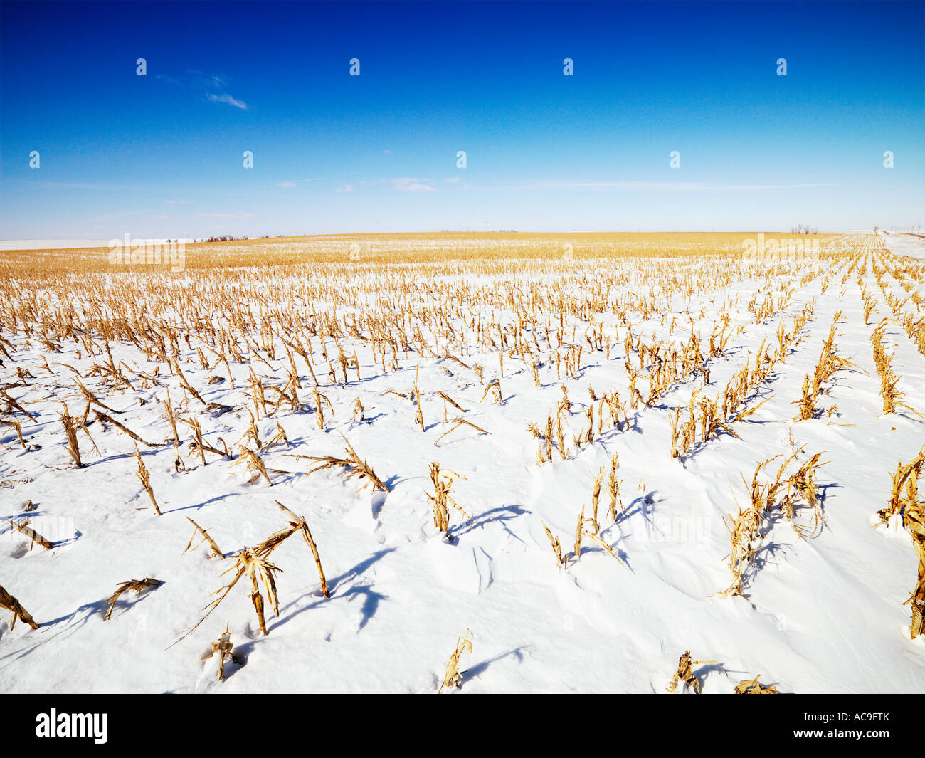 Horizontal color colour midwestern midwest usa hi-res stock photography ...