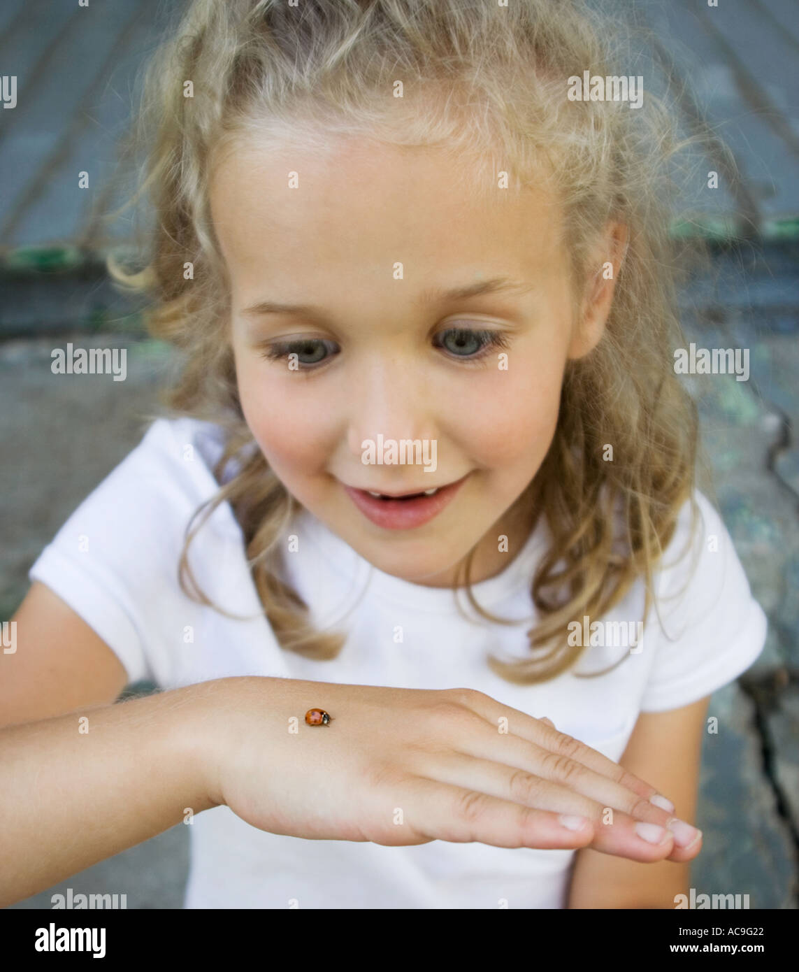 Girl holding ladybug hi-res stock photography and images - Alamy