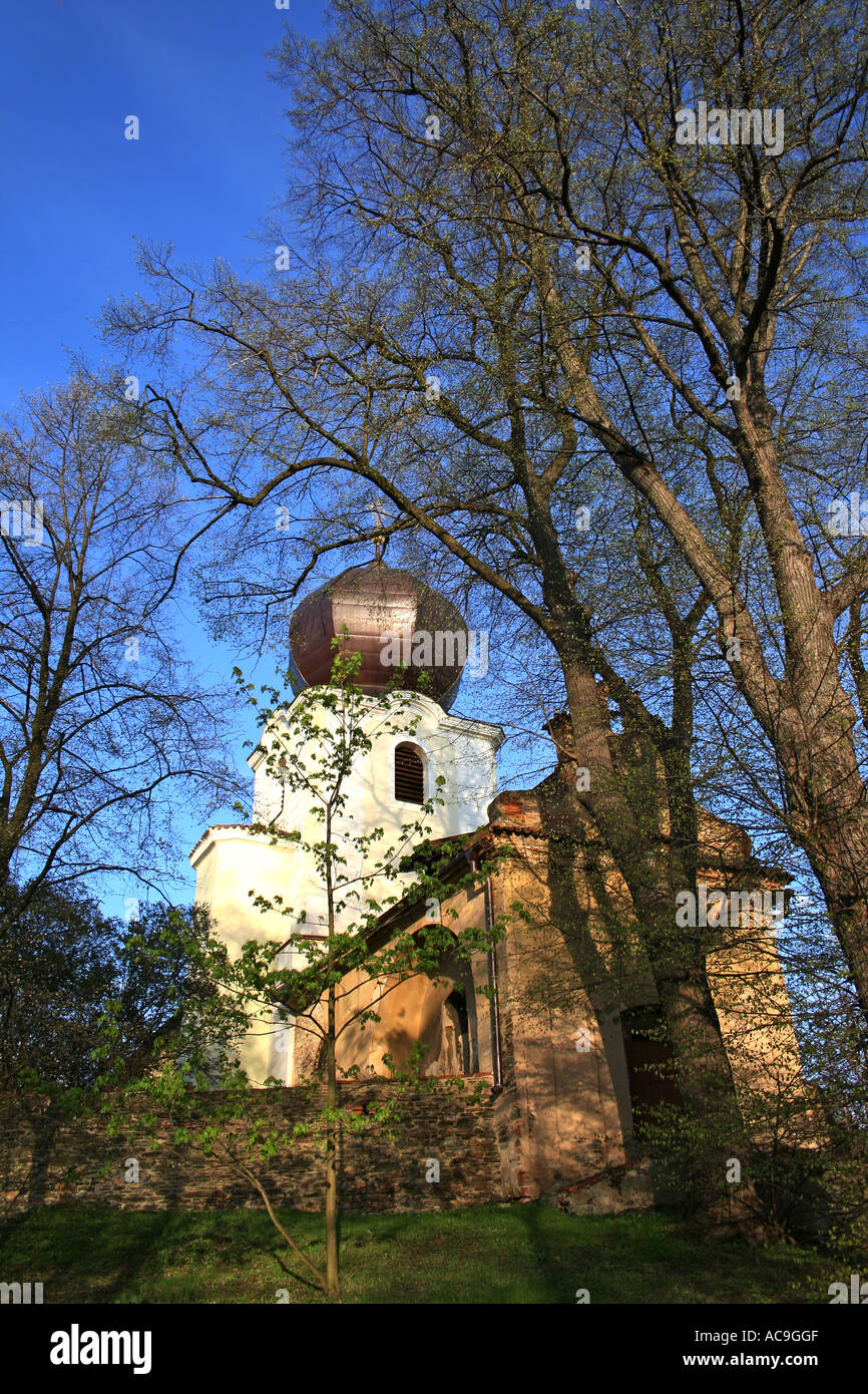 Tall trees in a village hi-res stock photography and images - Alamy