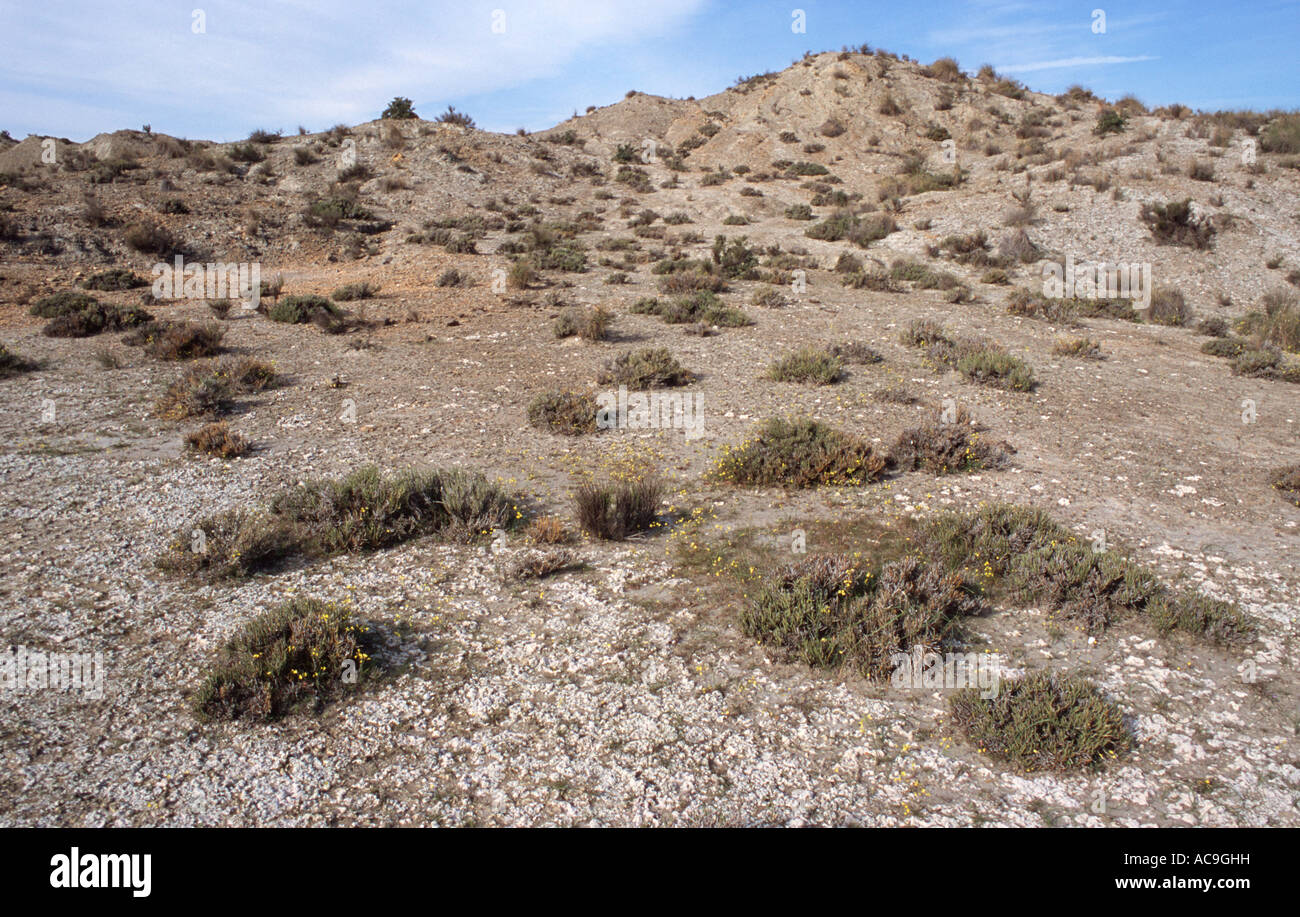 Barren landscape of Desierto de tabernas Almeria Spain Stock Photo - Alamy