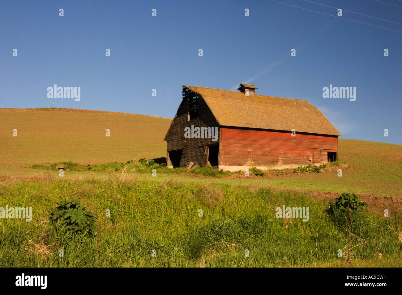 An old red barn along a backroad in the Palouse Washington Stock Photo ...
