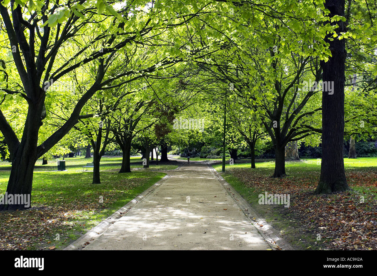Pathway and Trees Kings Domain Melbourne Victoria Australia Stock Photo ...
