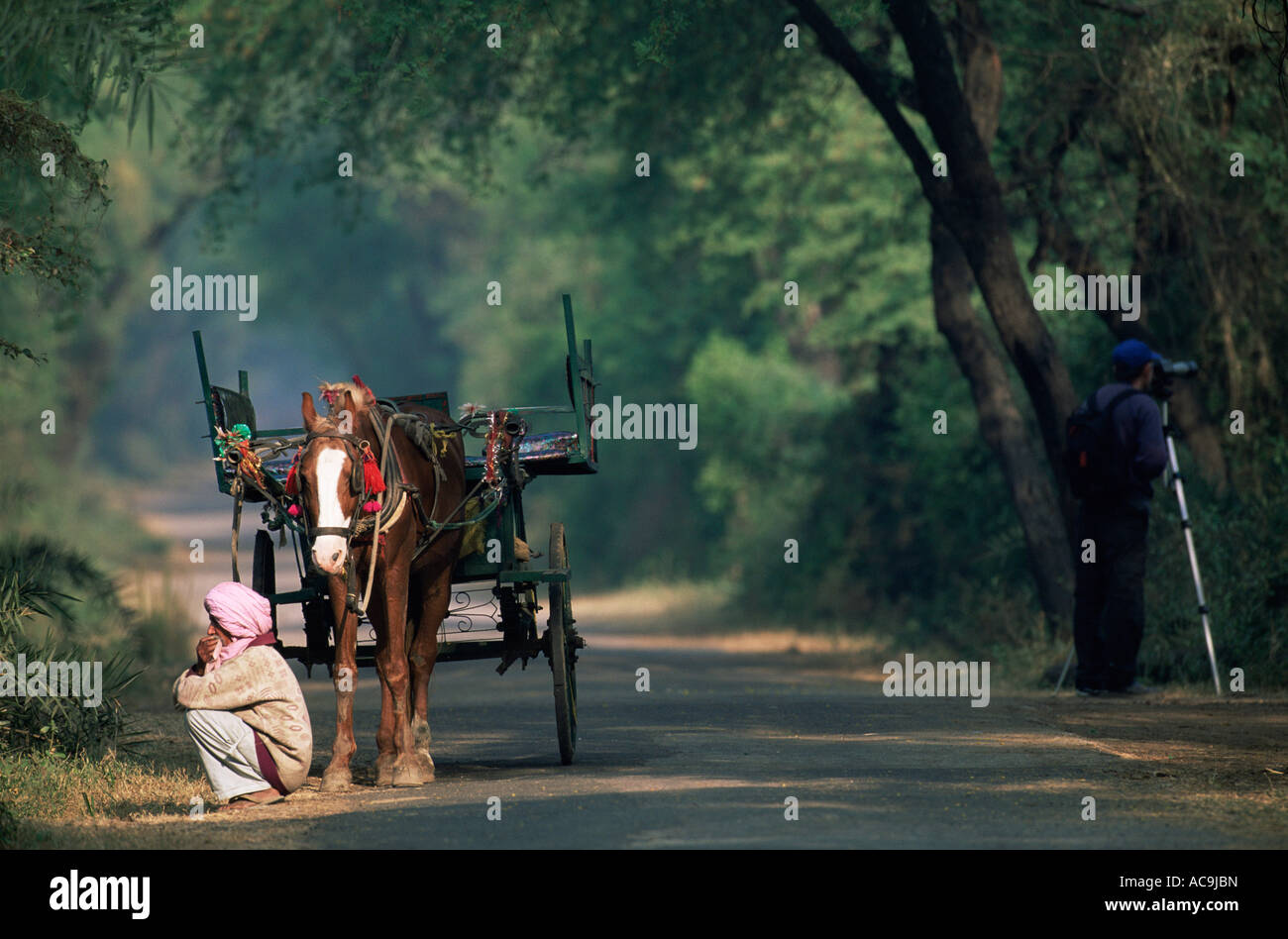 Tongo driver waiting for birdwatcher Keoladeo Ghana Bharatpur NP ...