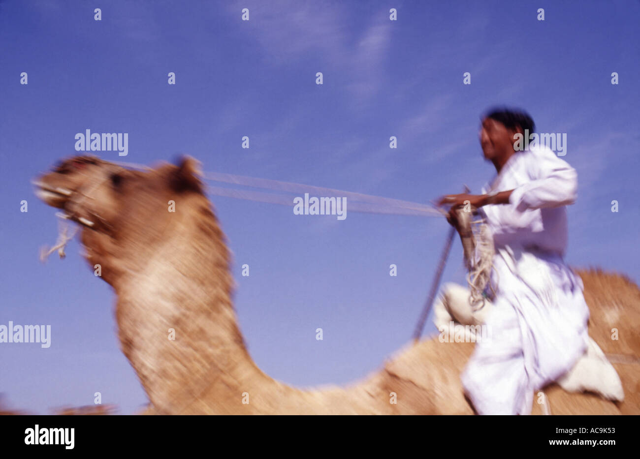 Pushkar competition hi-res stock photography and images - Alamy