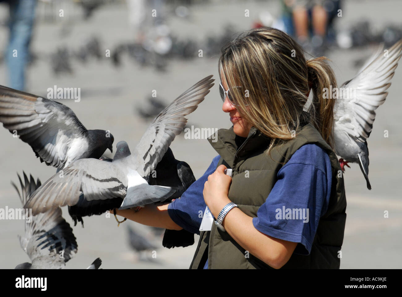 Photogenic pigeon hi-res stock photography and images - Alamy