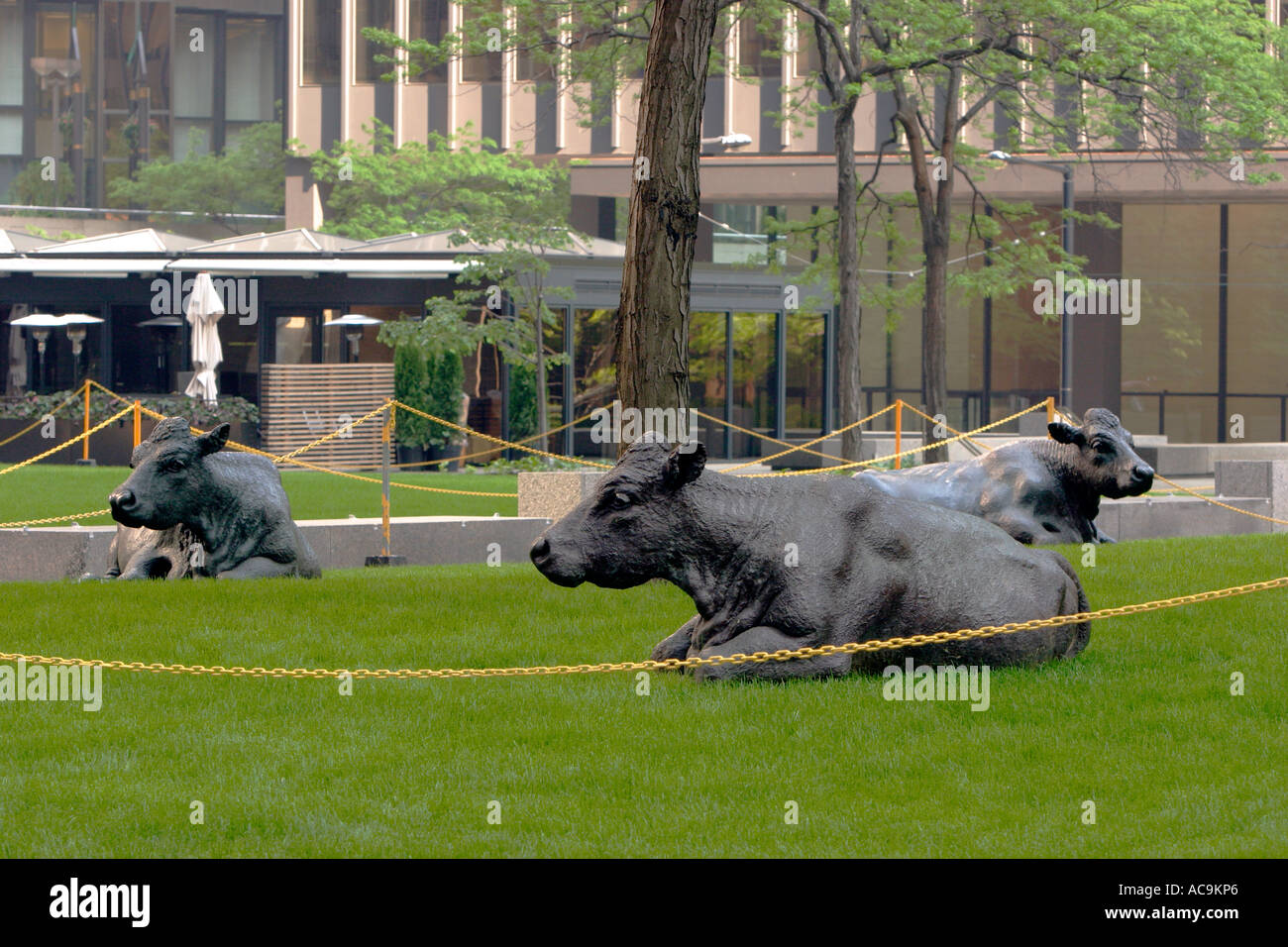 Cow sculptures in downtown Toronto ON Canada Stock Photo - Alamy