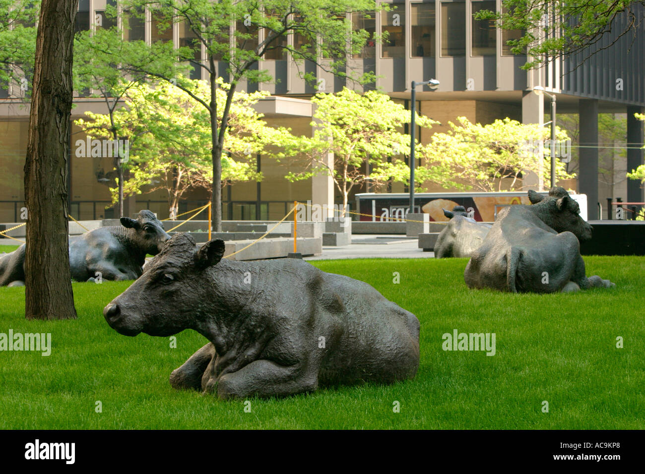 Cow sculptures in downtown Toronto ON Canada Stock Photo - Alamy