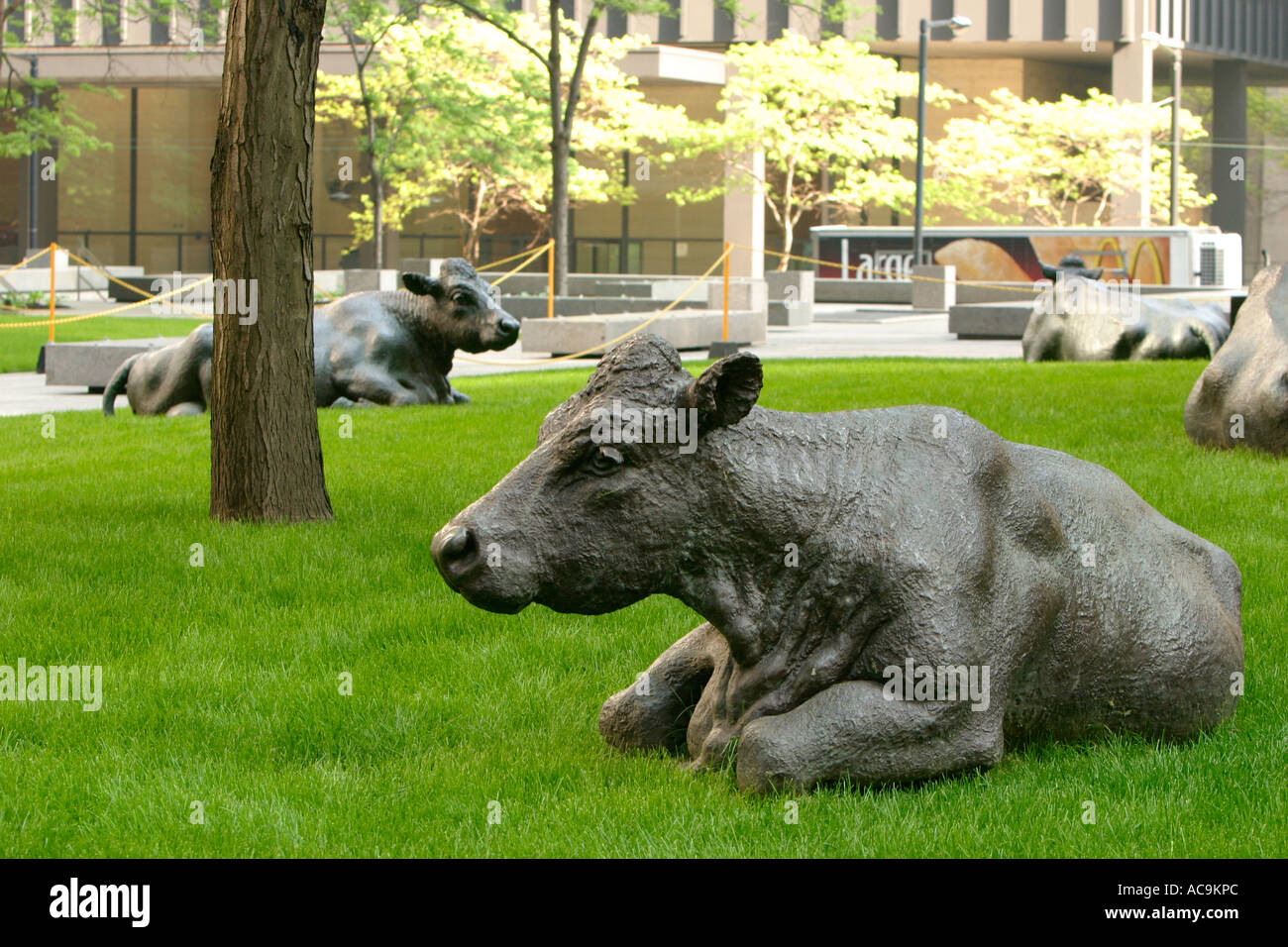 Cow sculptures in downtown Toronto ON Canada Stock Photo - Alamy