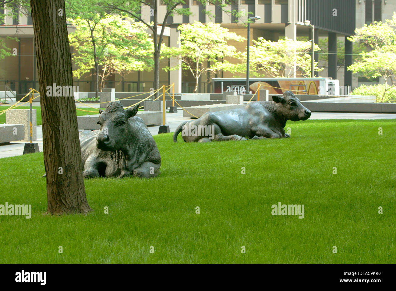 Cow sculptures in downtown Toronto ON Canada Stock Photo - Alamy