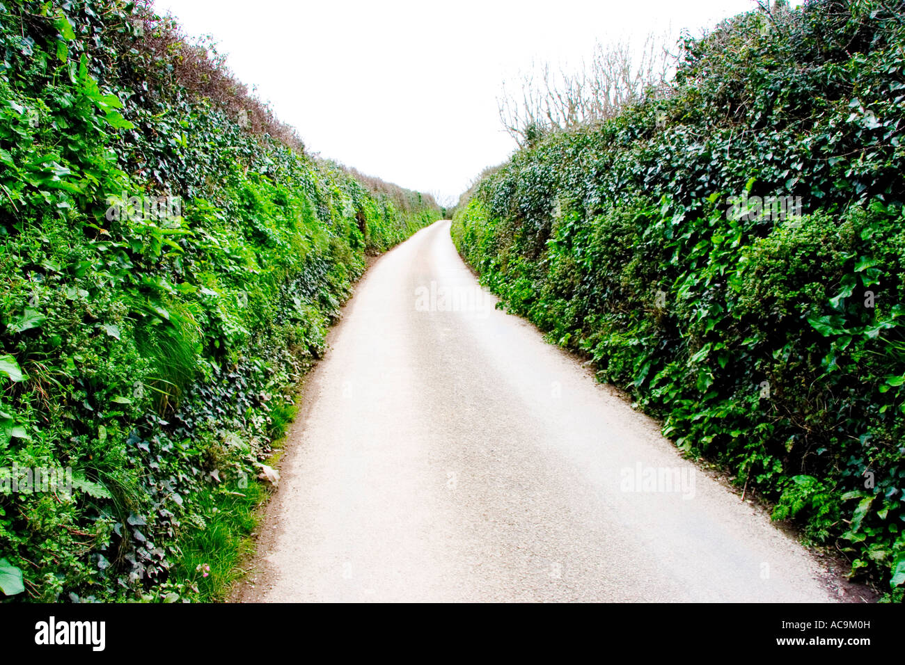 Cornish country lane hi-res stock photography and images - Alamy