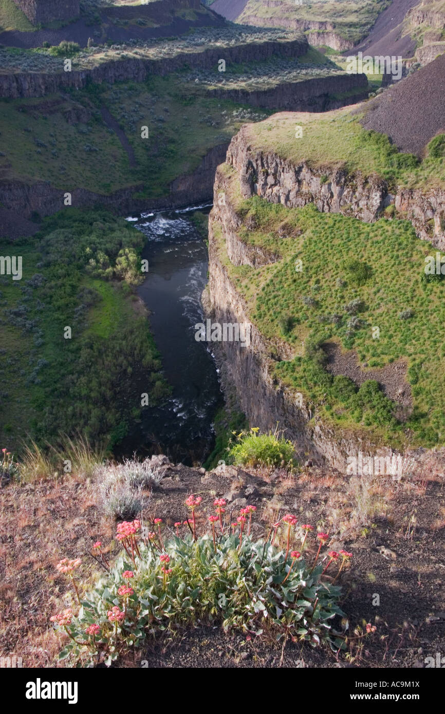 The Palouse River flows through a canyon below Palouse Falls State Park ...