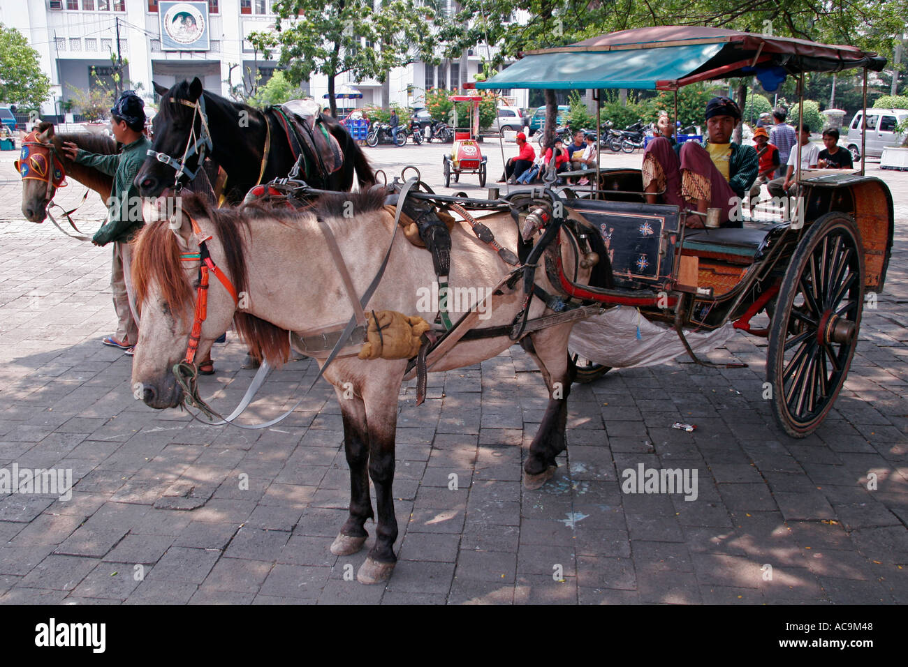 Horse and carriage Jakarta Historical Museum Fatahillah Square Jakarta ...