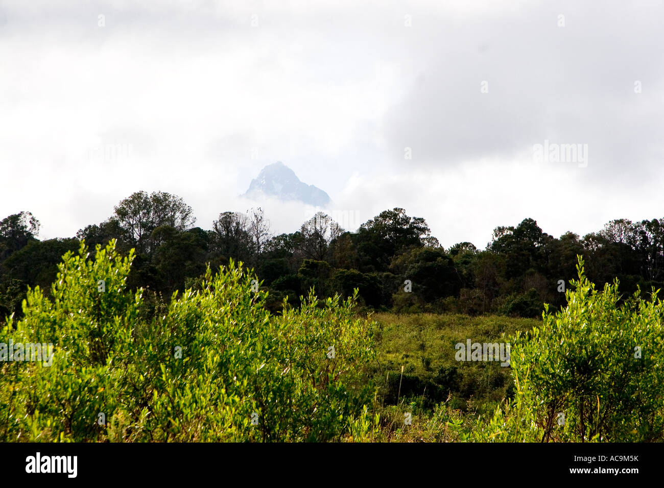 Summit of Mount Kenya from Mount Kenya Safari Club, Kenya Stock Photo ...