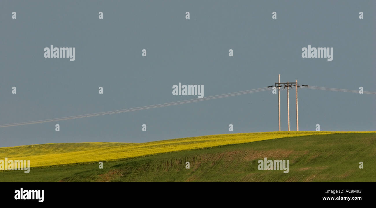 Hydro wires hi-res stock photography and images - Alamy