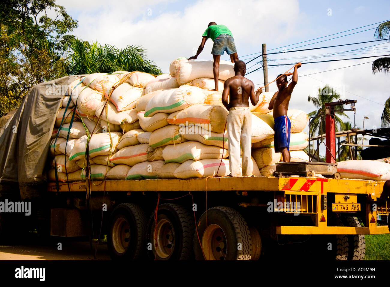 Rice unloading hi-res stock photography and images - Alamy