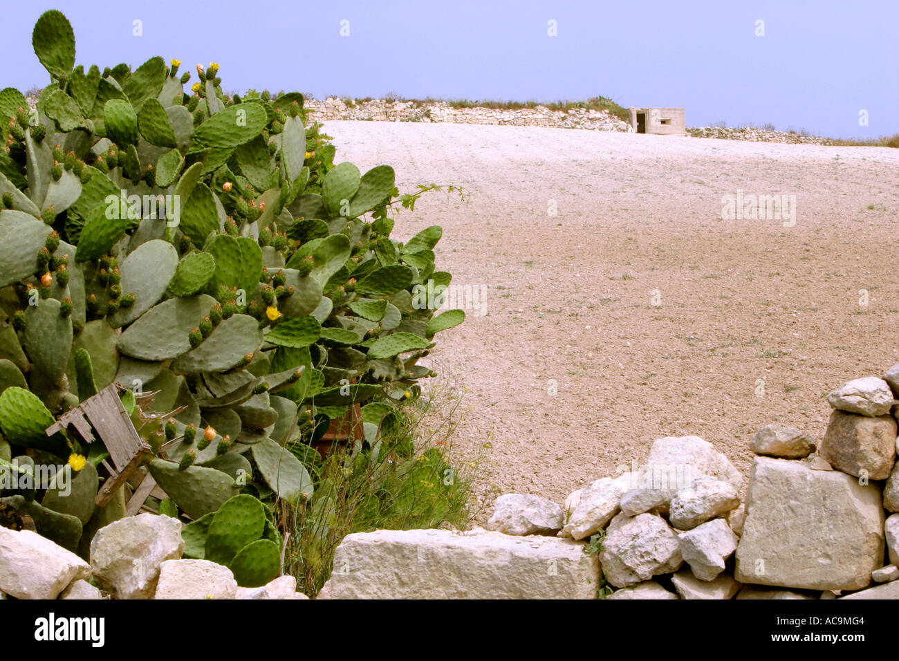 Maltese field Malta Stock Photo - Alamy