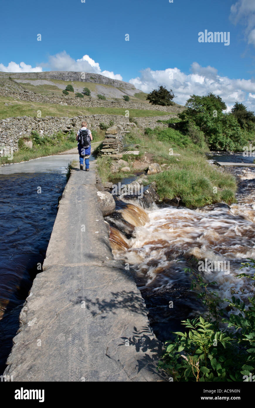 A female walker crossing a clapper bridge over Austwick Beck Yorkshire ...