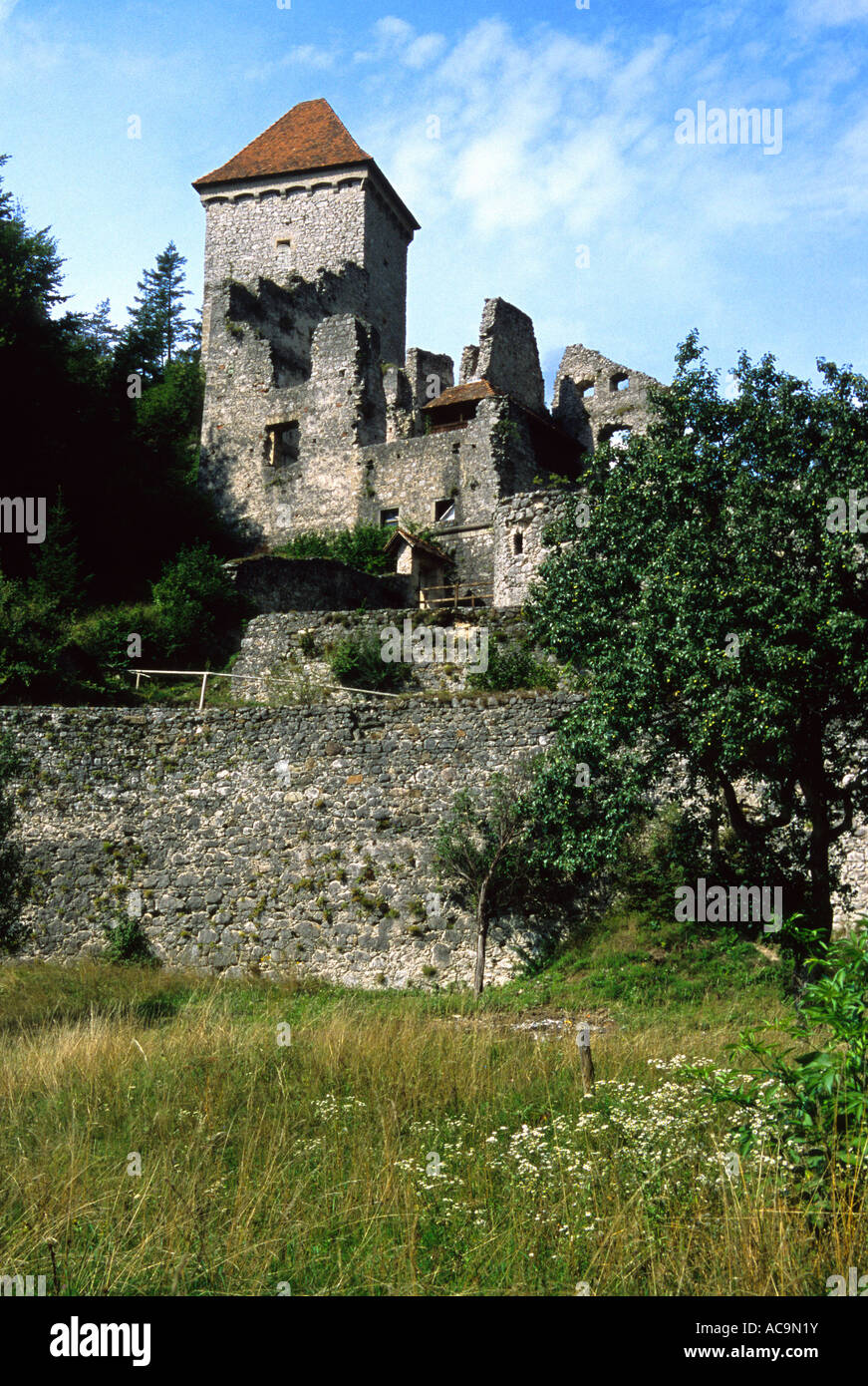 Slovenia grad kamen kamen castle hi-res stock photography and images ...