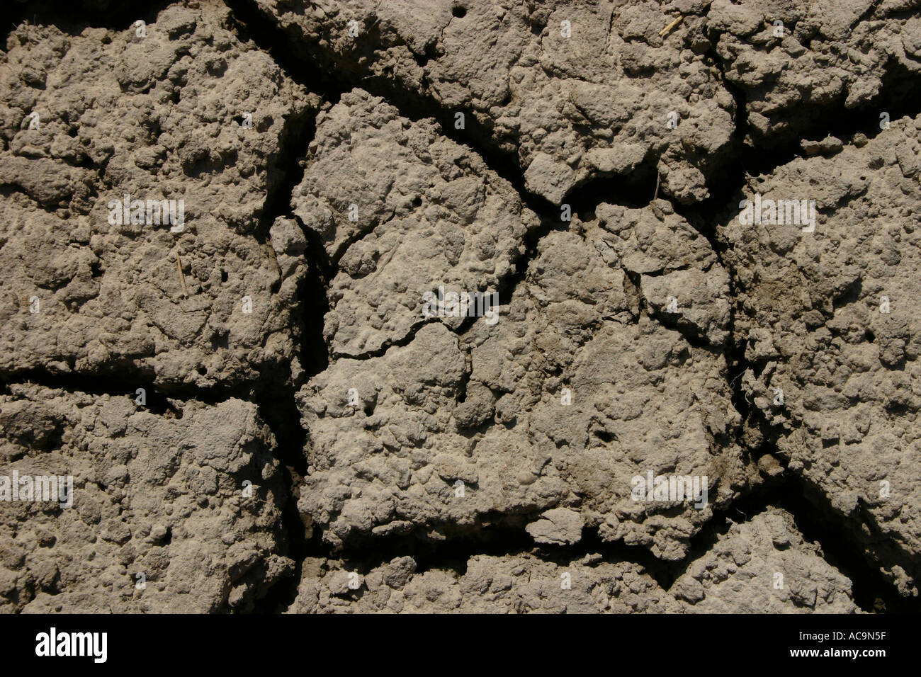 Close up of dried mud showing mud cracks Stock Photo - Alamy