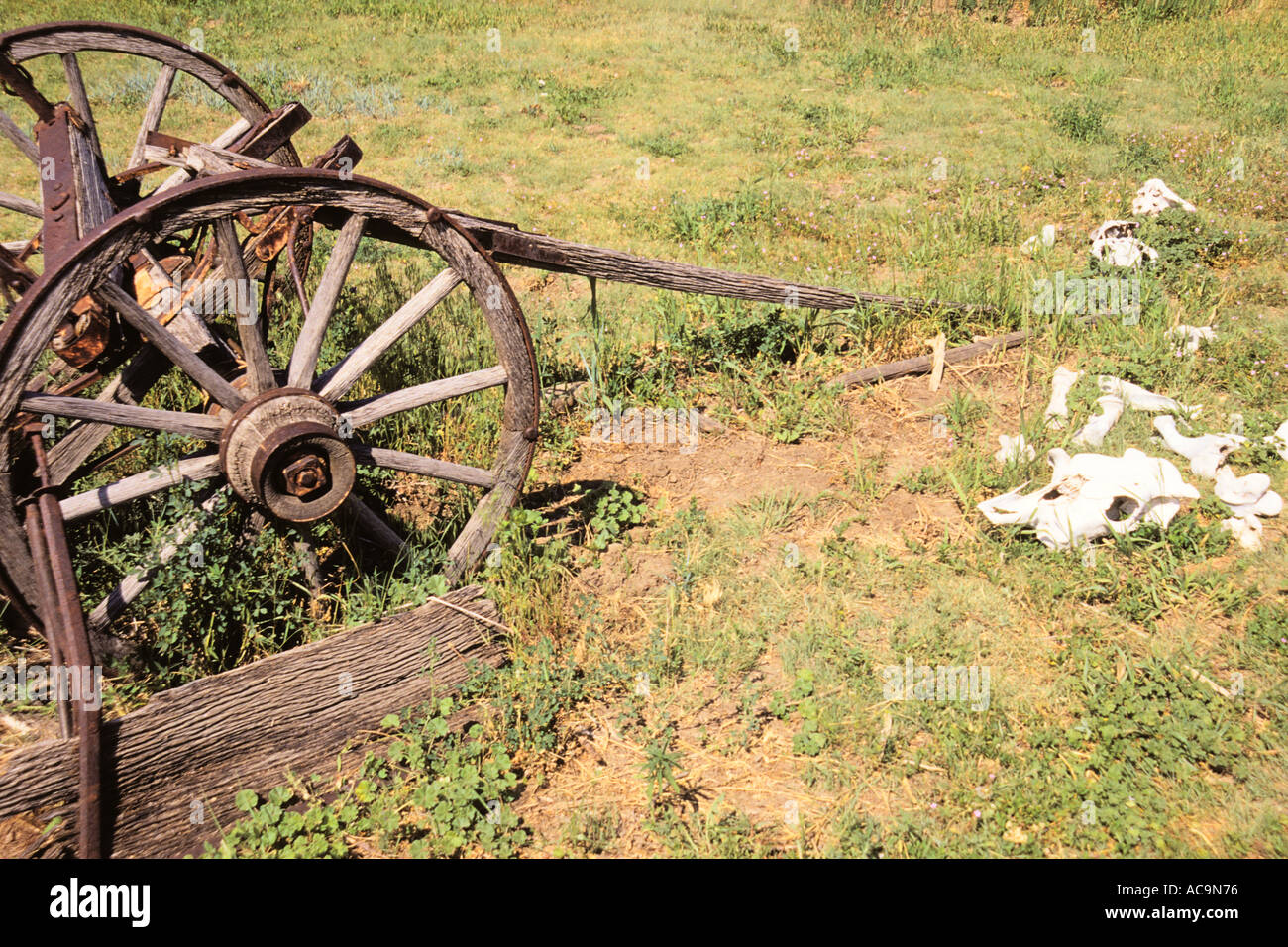 Frontier settlers hi-res stock photography and images - Alamy
