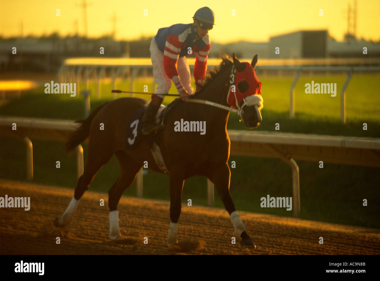 Early in the morning a jockey finishes a light workout with his horse ...