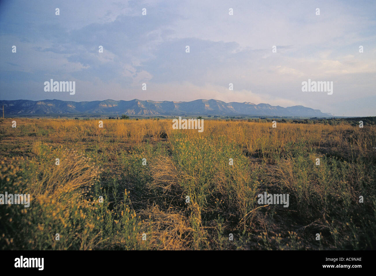 Little Pony Fire Stock Photo - Alamy