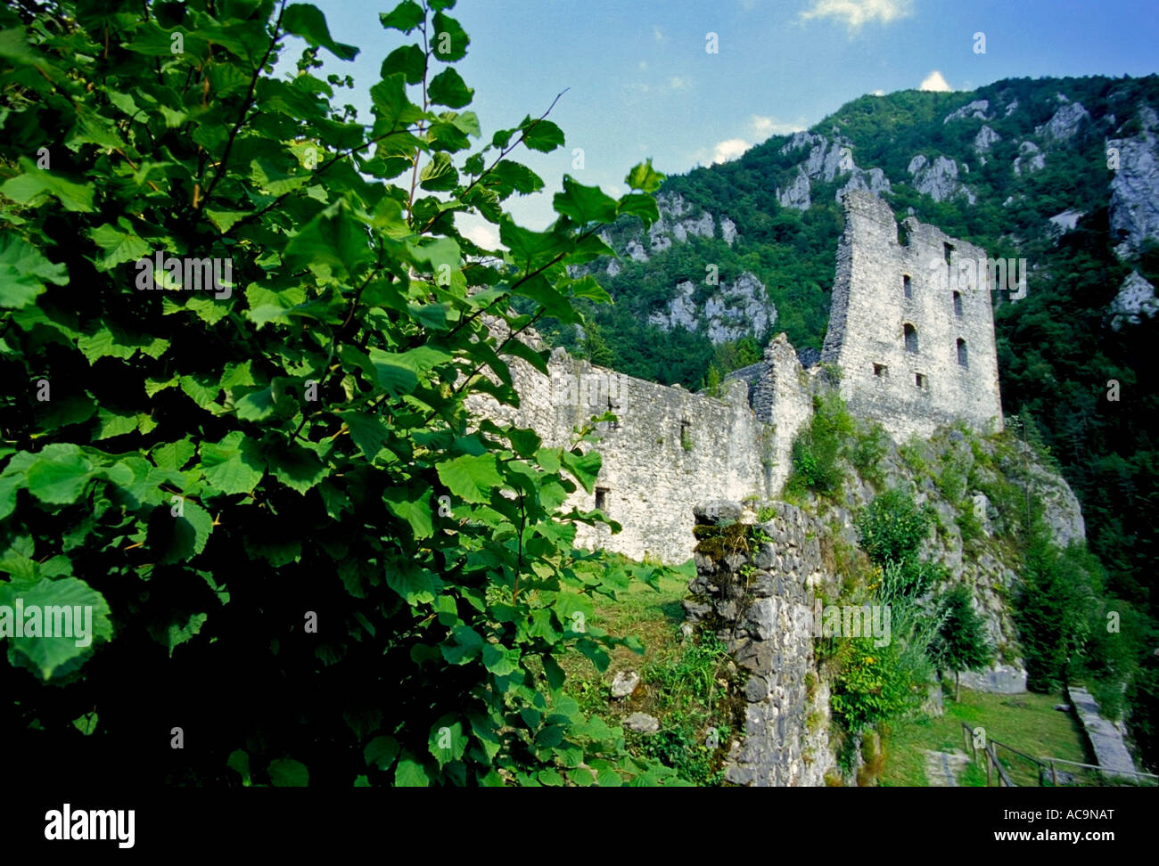 Slovenia grad kamen kamen castle hi-res stock photography and images ...