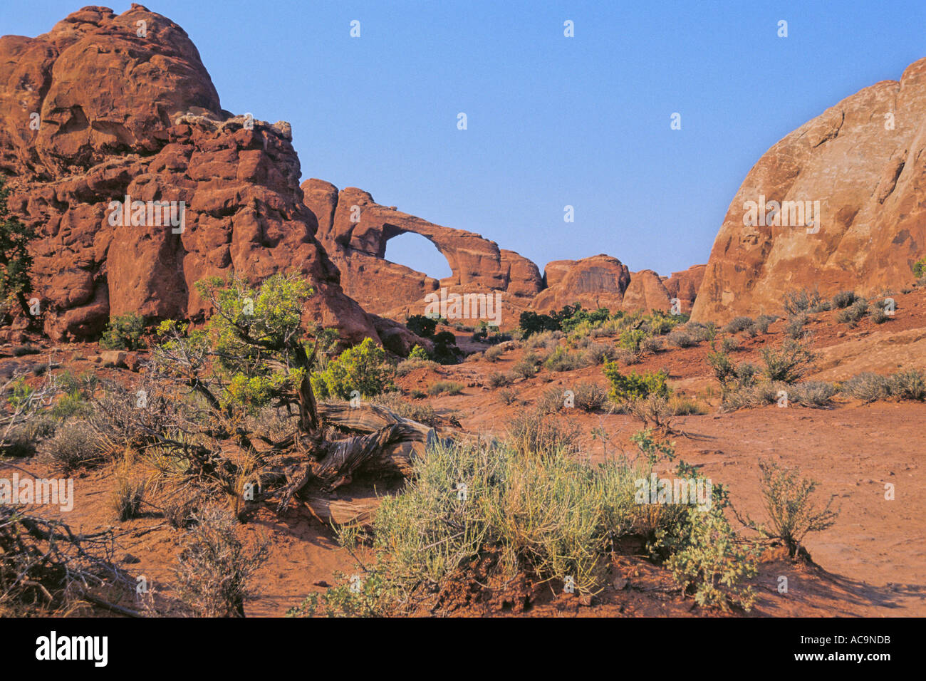 Needle Eye Arch Stock Photo - Alamy