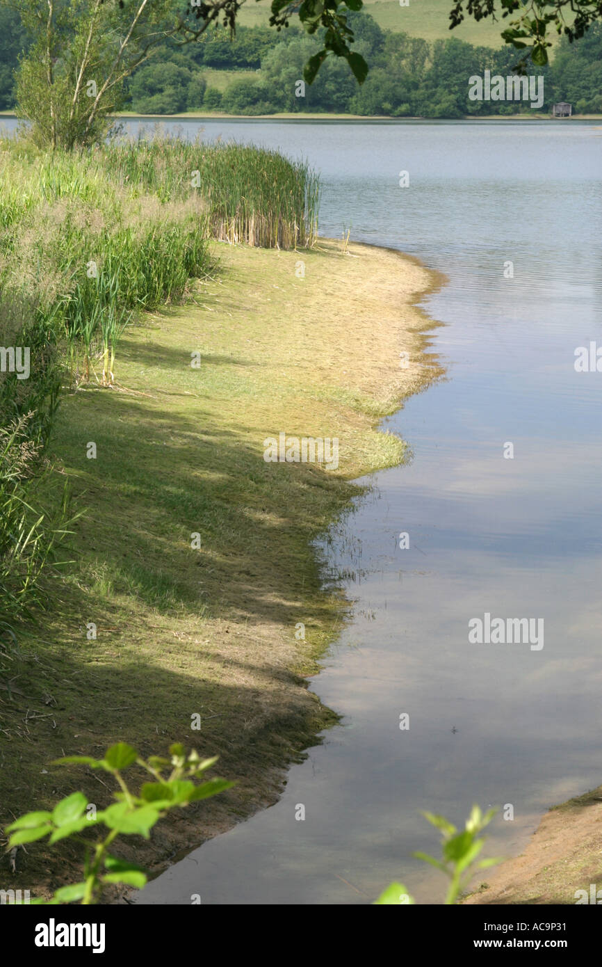 Ardingly reservoir west sussex hi-res stock photography and images - Alamy