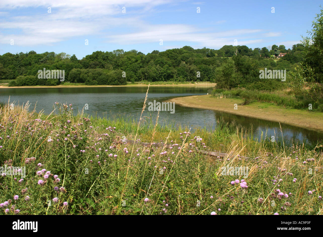 Ardingly Reservoir West Sussex England UK Stock Photo - Alamy