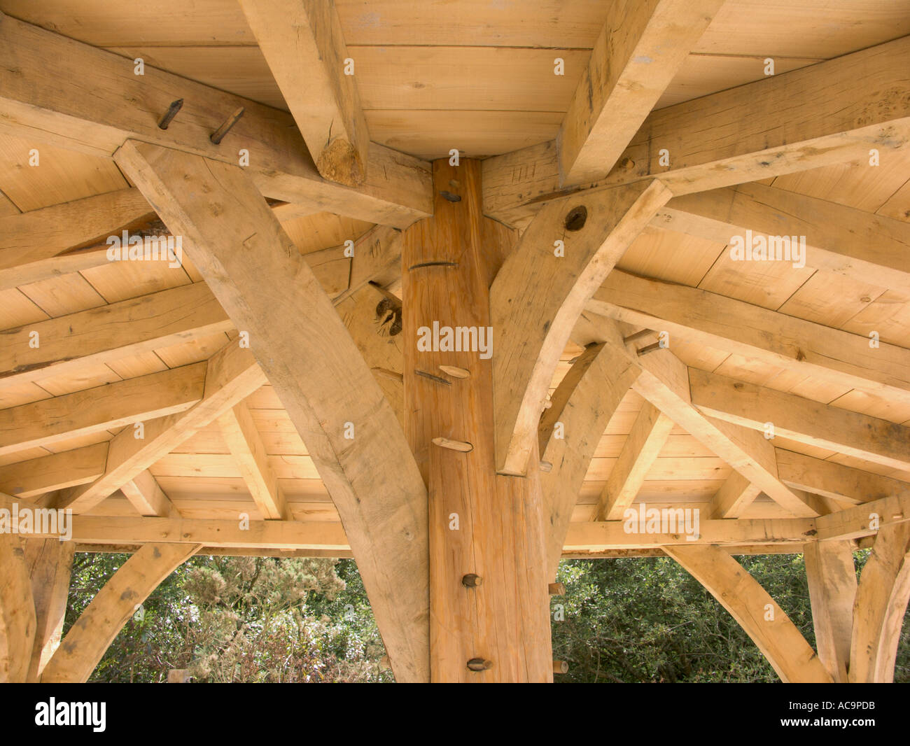 Curved roof trusses hi-res stock photography and images - Alamy