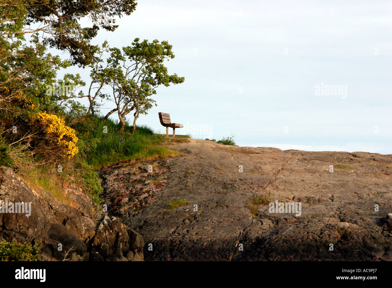 Bench on a cliff in Witty s Lagoon Park Victoria Vancouver Island BC ...