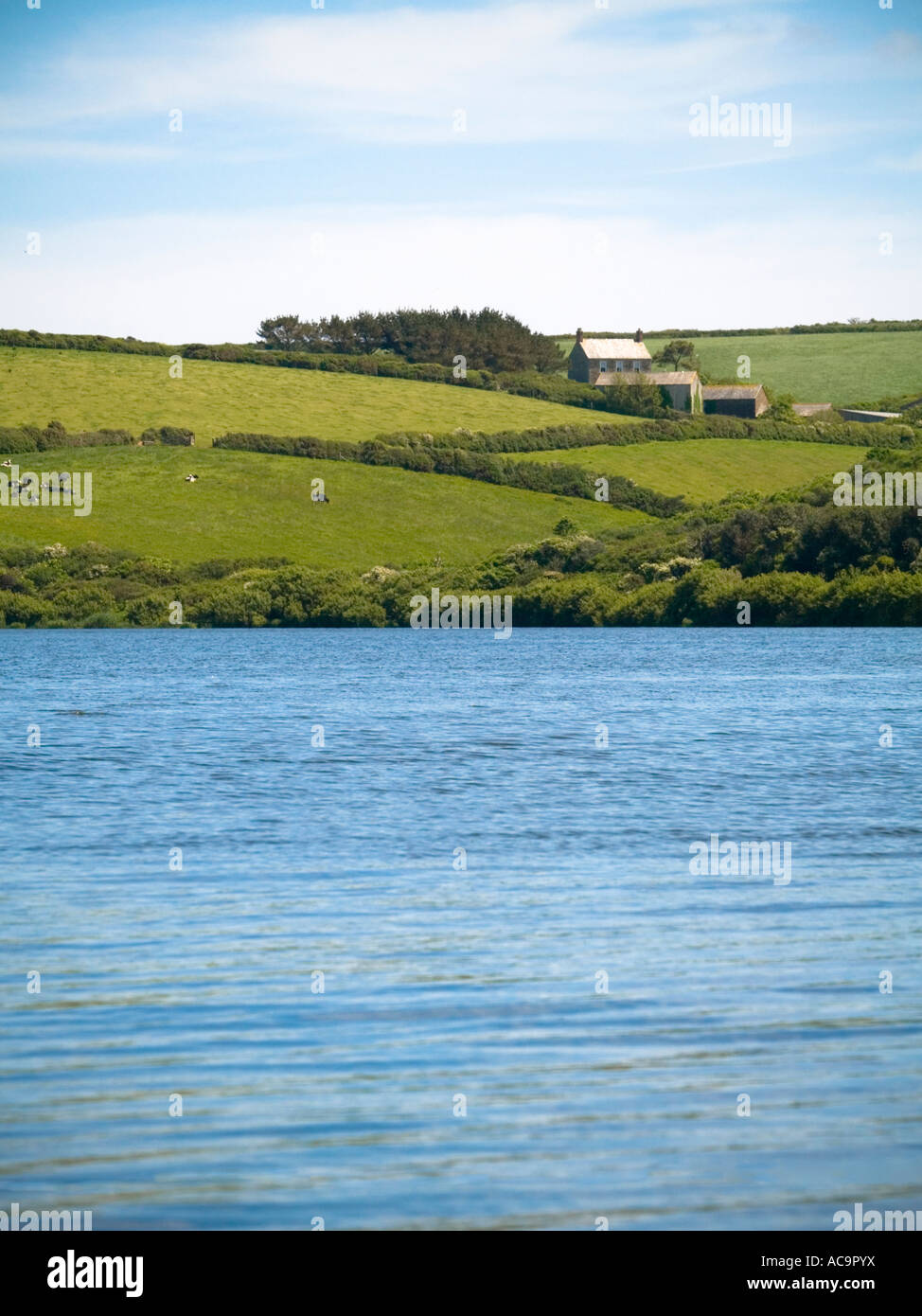 Loe pool uk hi-res stock photography and images - Alamy