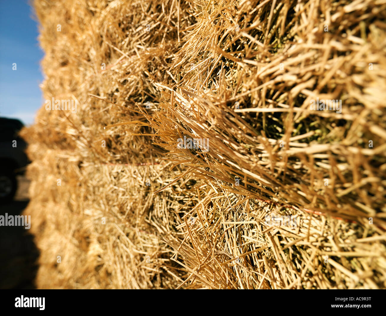 Close up hay texture hi-res stock photography and images - Alamy