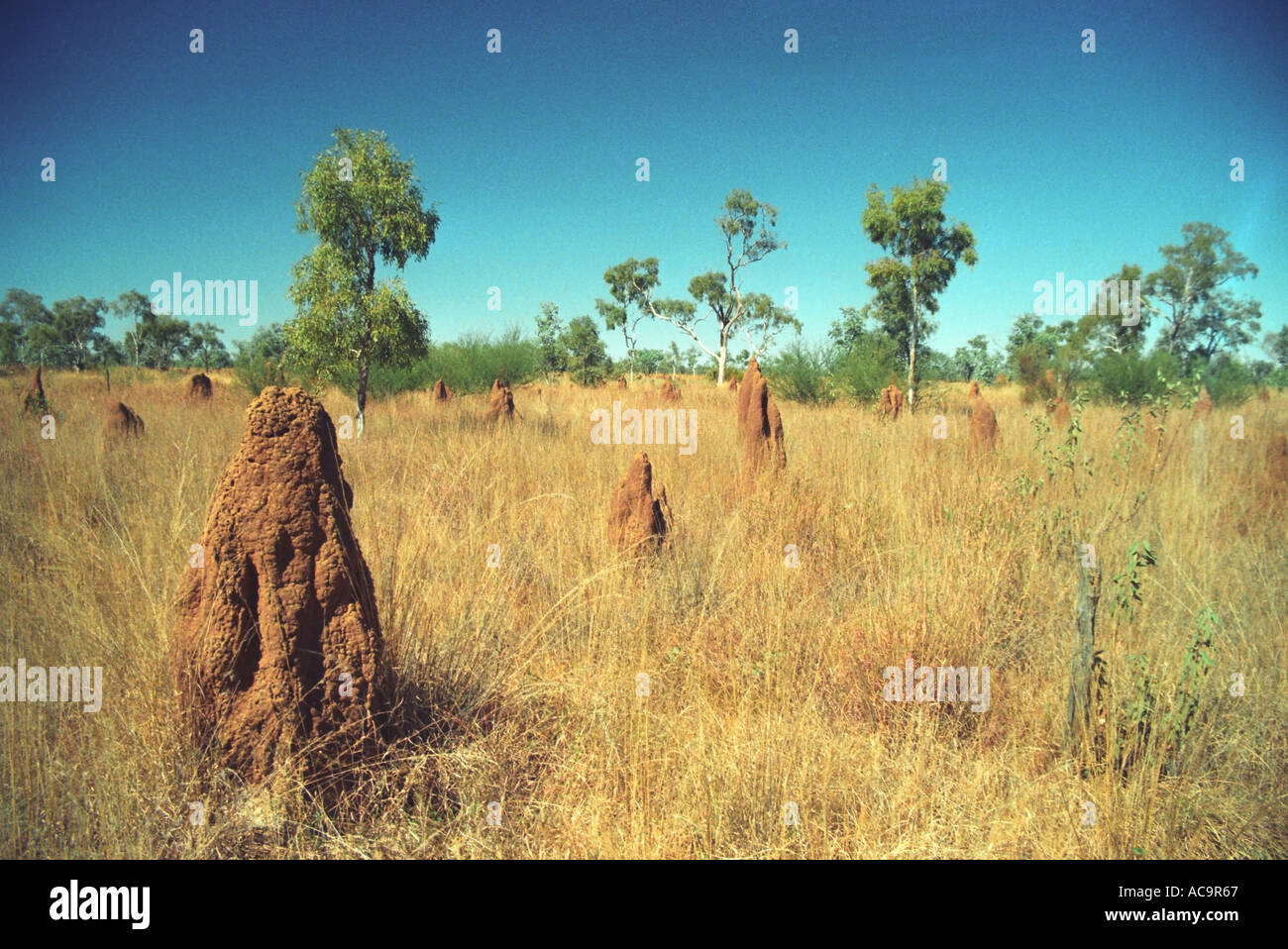 Outback northern territory australia hi-res stock photography and ...