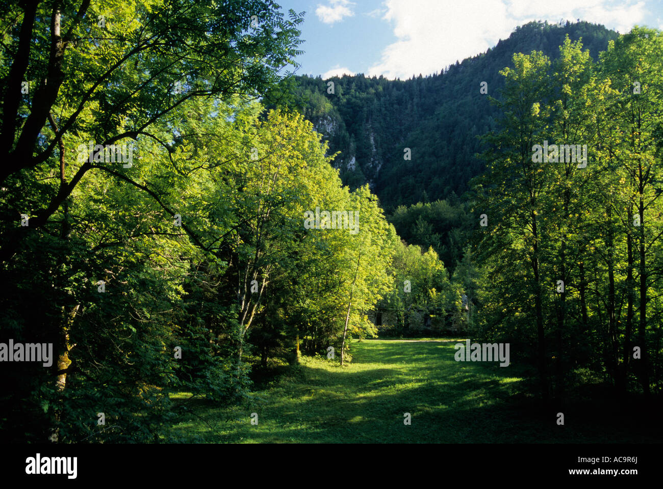 Slovenia, Radovna valley - the path to the iron forges Stock Photo - Alamy