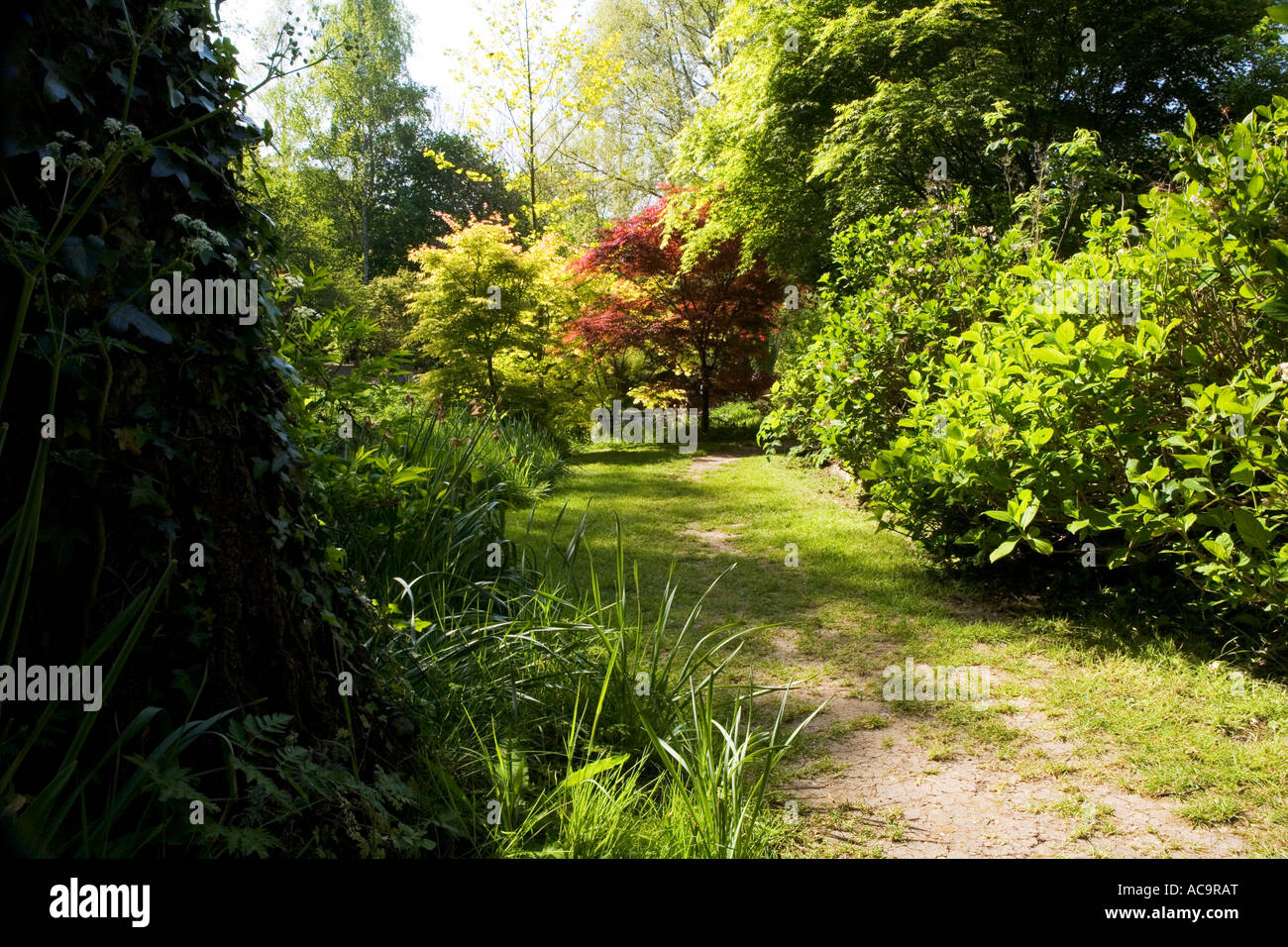 Bank of the River Nadder at Abbey House Gardens, Malmesbury, Wiltshire ...