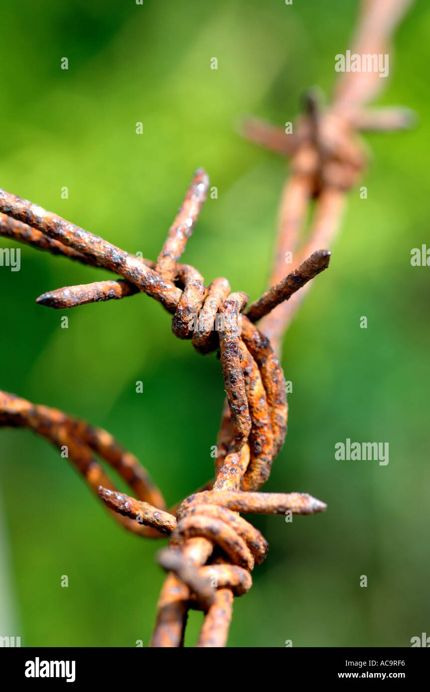 Barbed wire wires rust rusty hi-res stock photography and images - Alamy