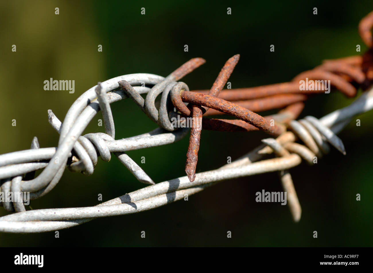 Barbed wire wires rust rusty hi-res stock photography and images - Alamy