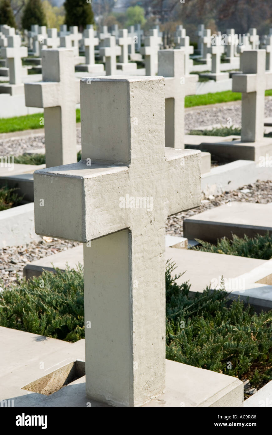 Graves of fallen soldiers Lychakivsky Cemetery Lviv Western Ukraine ...
