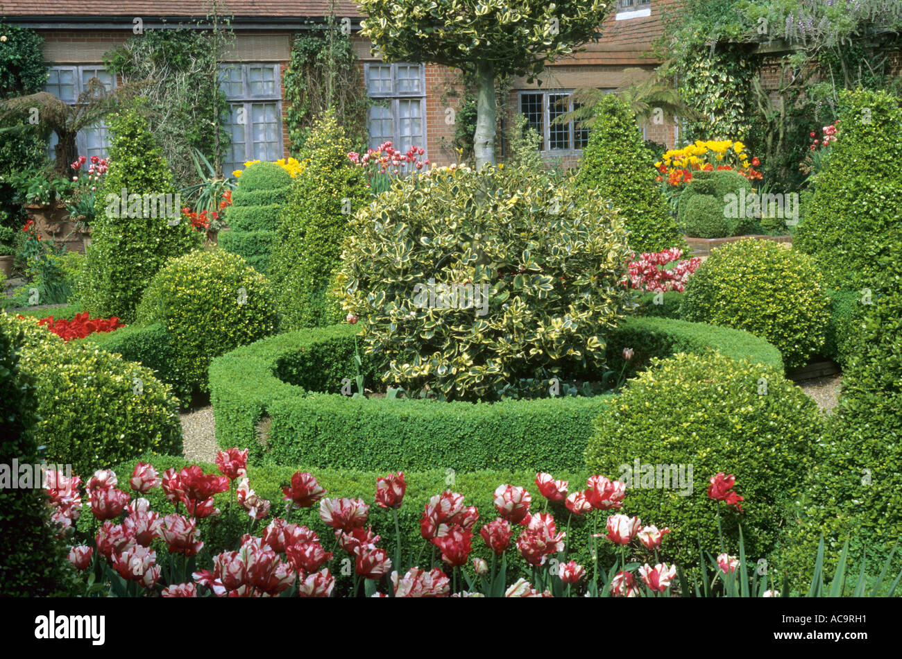 East Ruston Old Vicarage Garden, Norfolk, Dutch Garden ,Tulips, box ...
