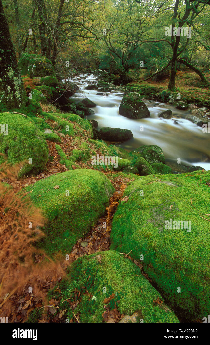 River Plym Dartmoor Devon UK Stock Photo - Alamy