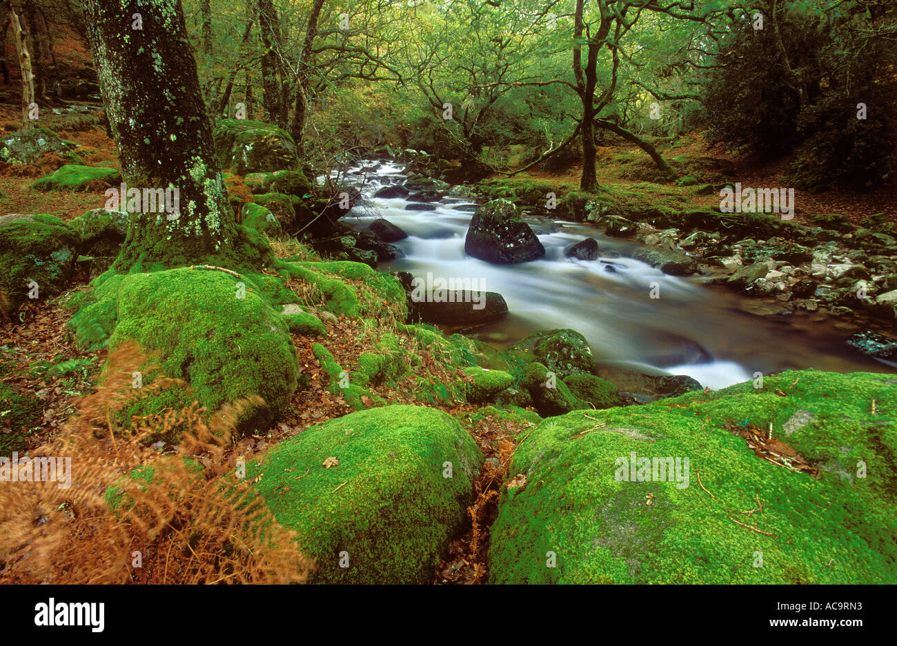 River Plym Dartmoor Devon UK Stock Photo - Alamy