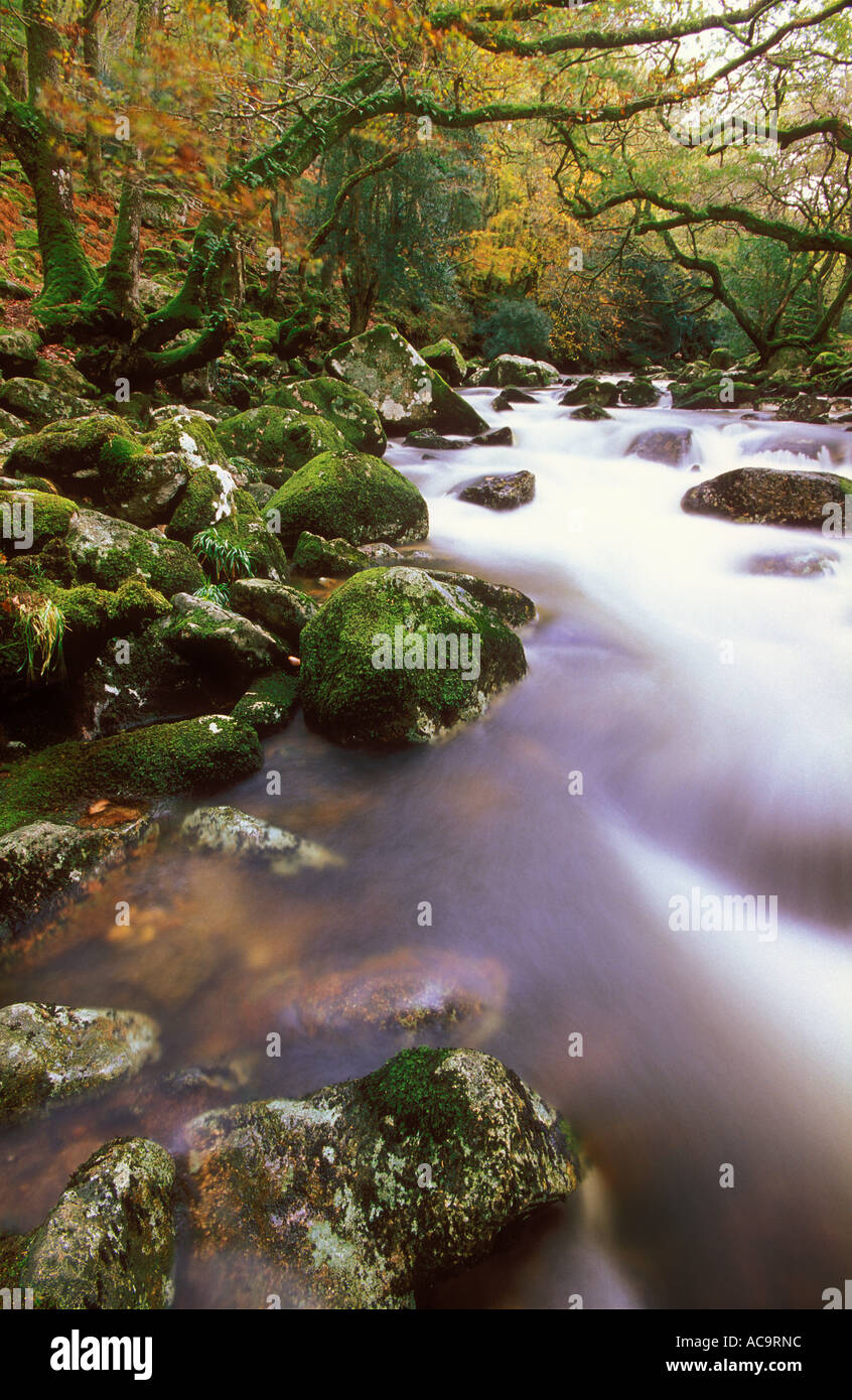 River Plym Dartmoor Devon UK Stock Photo - Alamy