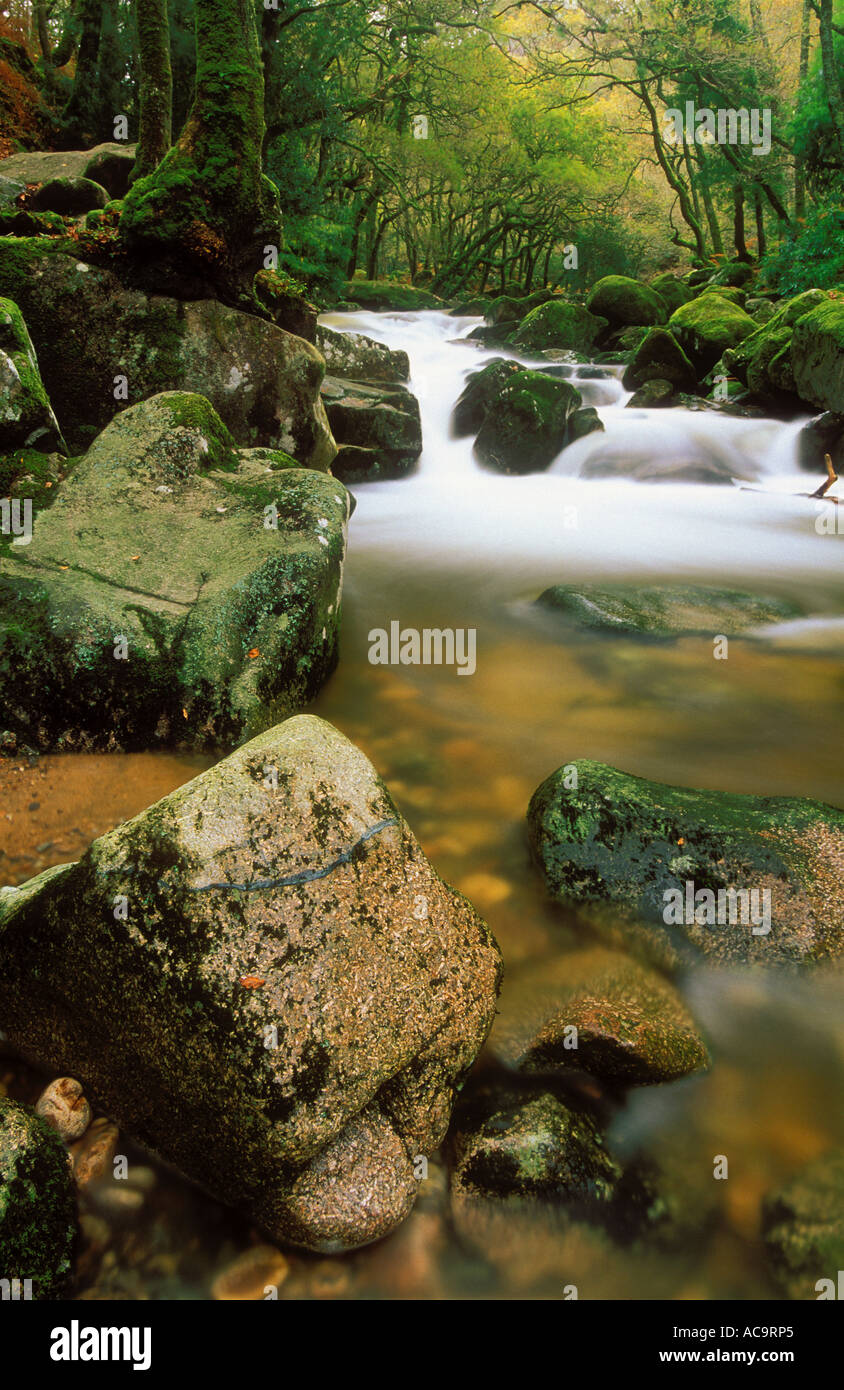 River Plym Dartmoor Devon UK Stock Photo - Alamy